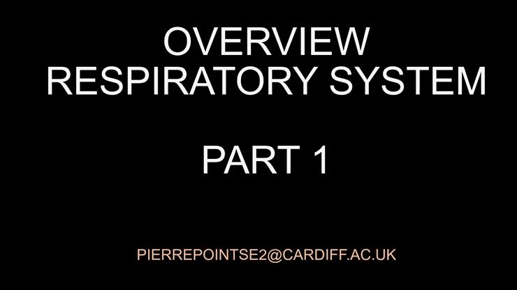 Overview of the respiratory system Part 1