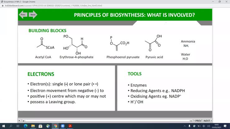 Biosynthesis tutorial