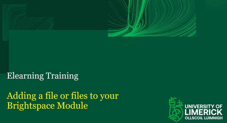 Adding a File to Brightspace (Manage Files Folder)1