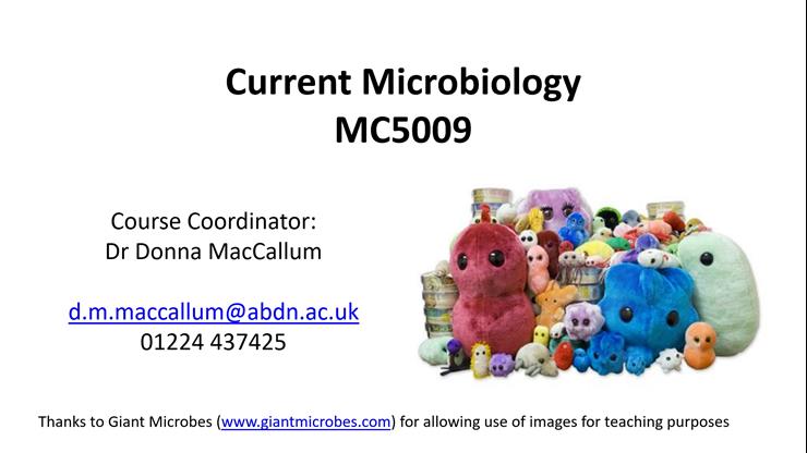 Welcome to MC5009_2022