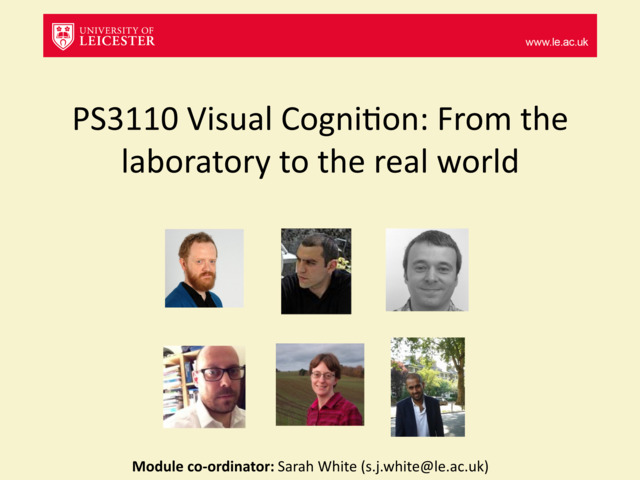 Visual Cognition: From the laboratory to the real world PS3110_SEM1 ENG ...