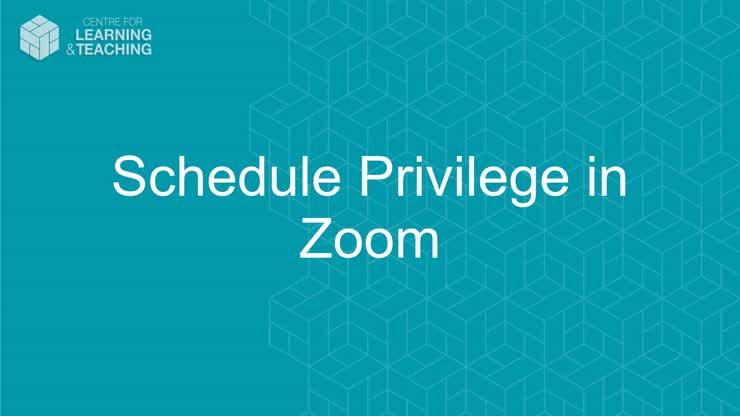 Schedule Privilege on Zoom