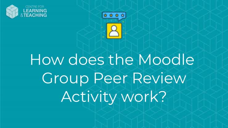 How does the Group Peer Review Activity work