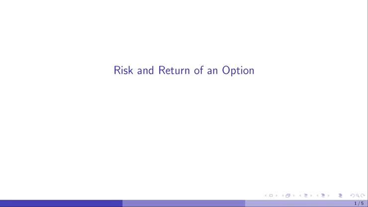 Chapter 21 BDM Part 4 - Risk and return Options