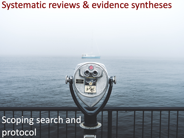 2. Scoping search and Protocol