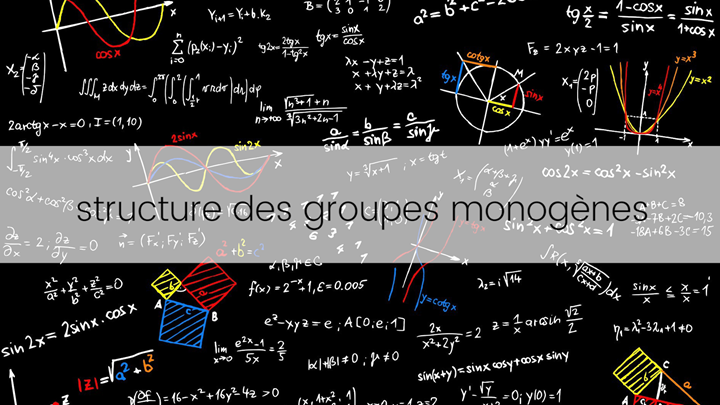 L3adistance_M4groupes_structure des groupes monogènes