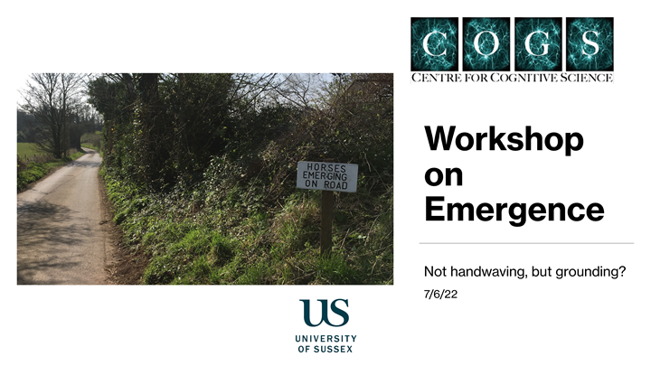 COGS Emergence workshop