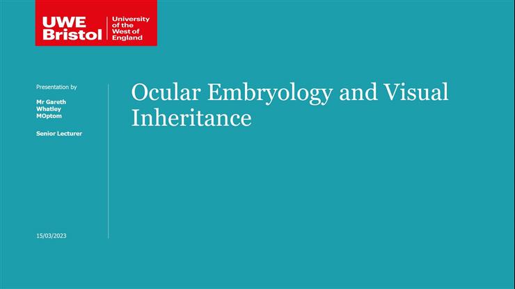 Ocular Embryology and Visual Inheritance