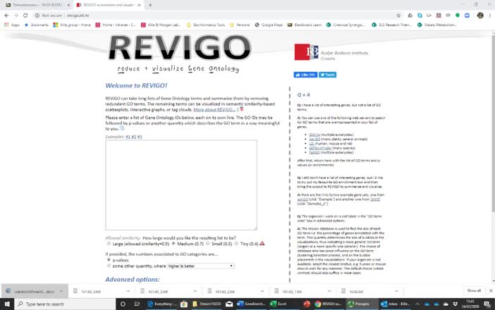 Workshop 8 - Extra - Revigo Semantic Similarity