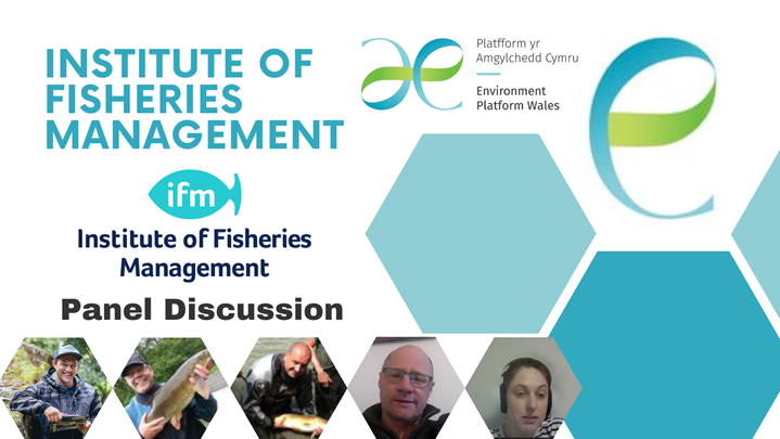 IFM - Panel discussion