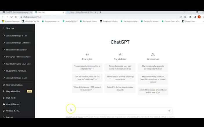 CHAT GPT Examples 4