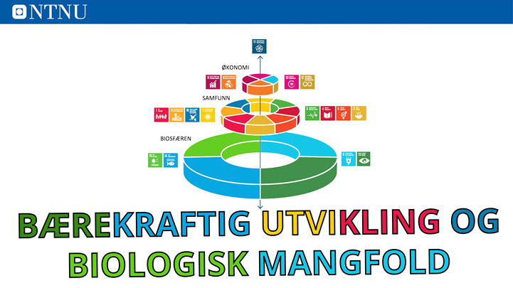 Bærekraftig utvikling og biologisk mangfold