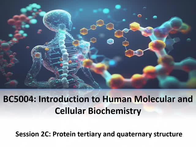 BC5004 Session 2C Protein tertiary and Quaternary Structure